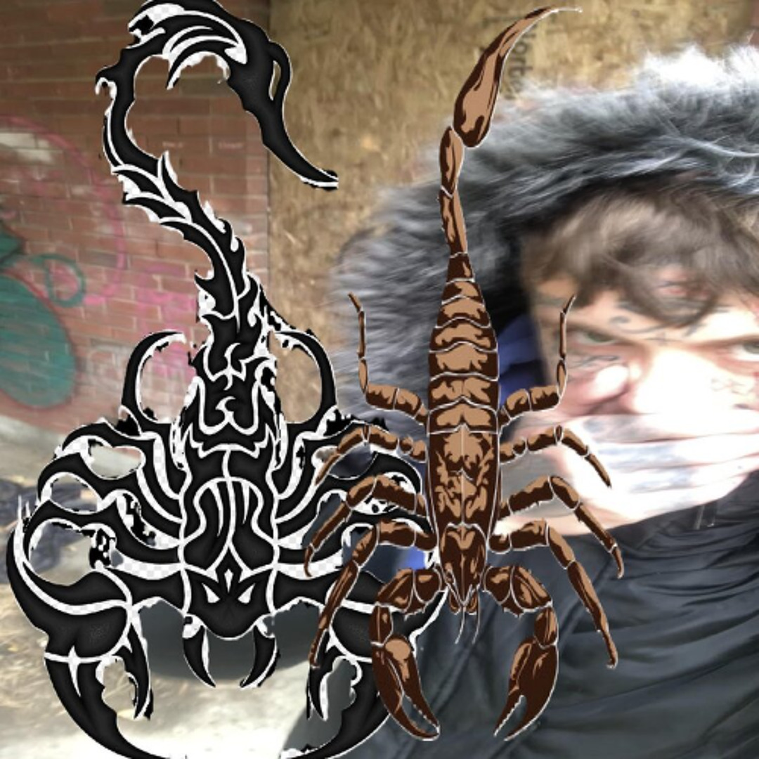 Stream arcane {nxghtstxlkxr} [fuck clout] by skorm | Listen online for ...