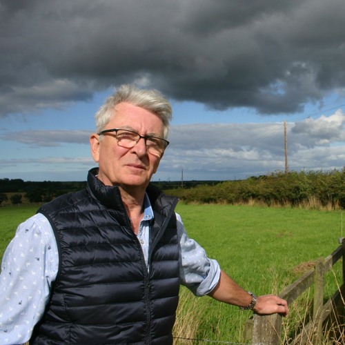 Stream episode Simon Peacock on Palace Leas by ECT UK podcast | Listen ...