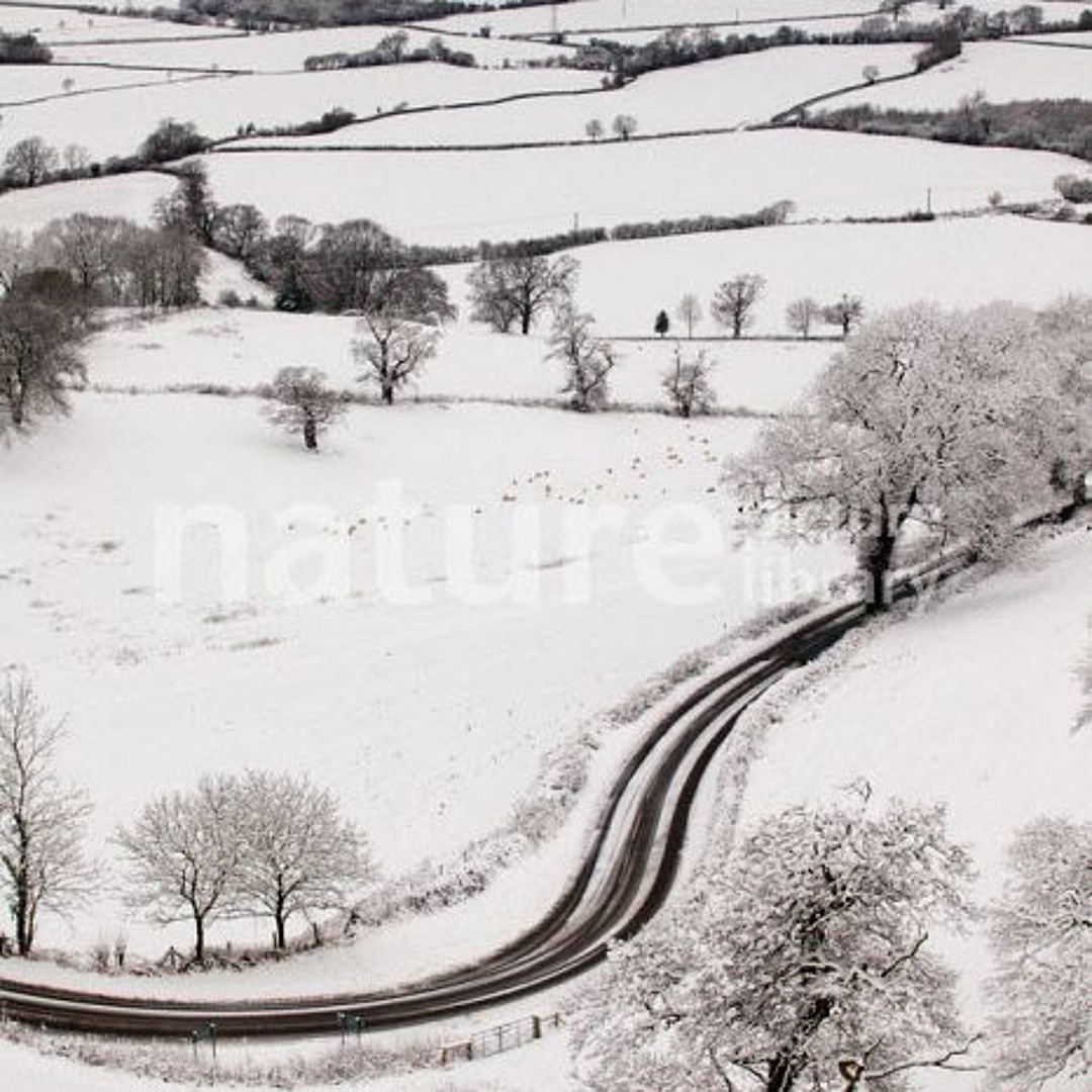 Stream episode Snow by Gillian Clarke by Anton Jarvis podcast | Listen ...