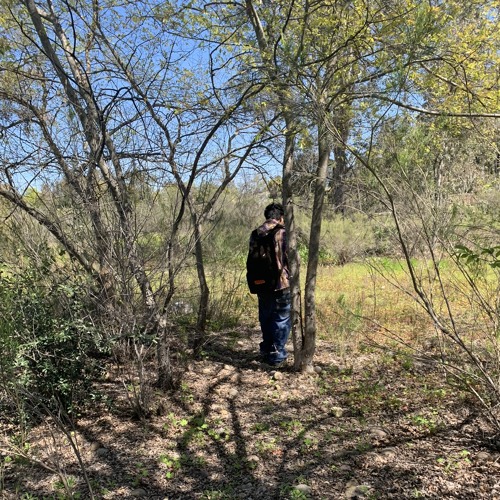 Stream flunking by samii | Listen online for free on SoundCloud