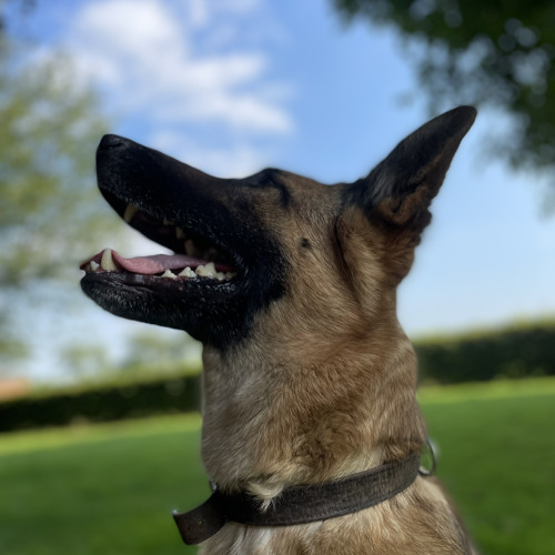 Stream MC Frazz MC Molegrip - Bally and Gloves by Yungmanu | Listen ...