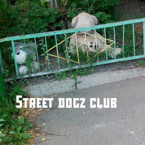 Stream street dogz club by shyne ocean | Listen online for free on ...