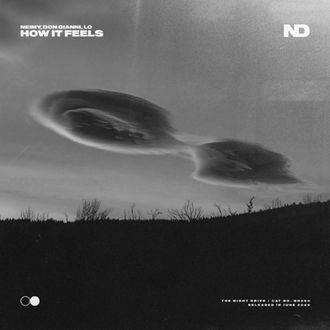 Stream NEIMY, Don Gianni, LO - How It Feels by THE NIGHT DRIVE | Listen ...