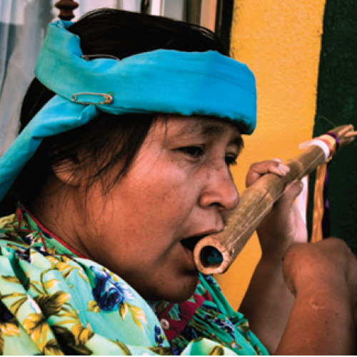 Stream 14_El Chapareke, instrumento musical tarahumara by Tito Rivas ...
