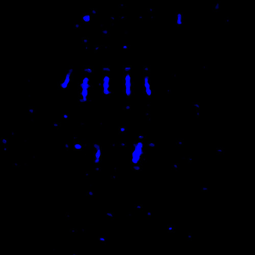 Stream ALIENATE by MARX MAE | Listen online for free on SoundCloud