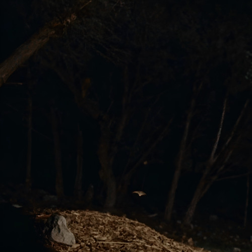 Stream flooding (w/ caden james) by ostyn | Listen online for free on ...