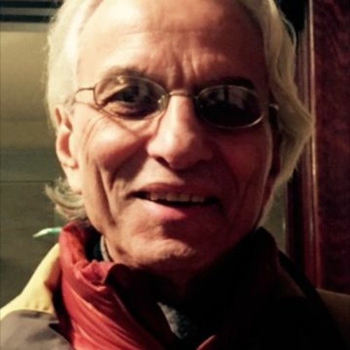 Stream Where Does Van Gogh Go, When Van Gogh Leaves - Fran Palmieri by ...