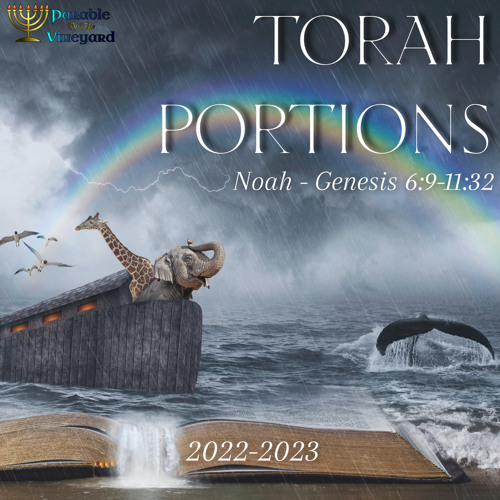 Stream Torah Portion Week 2 - Genesis 6:9 - 11:32 (Noah - Flood - DNA ...