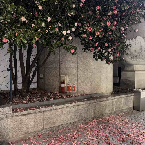 Stream Hating march loving may by kkm2 | Listen online for free on ...