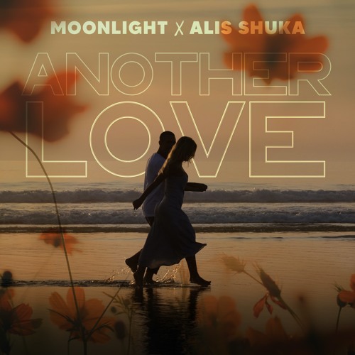 Stream Moonlight X Alis Shuka - Another Love by Pink Elephant | Listen ...