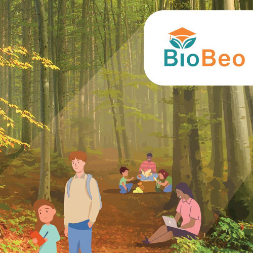 Stream episode BioBeo | Comprehensive guide on organising a sustainable event | Podcast by liget ...