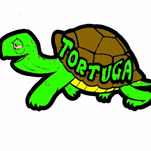 Stream Tortuga DnB by Travis Knott | Listen online for free on SoundCloud
