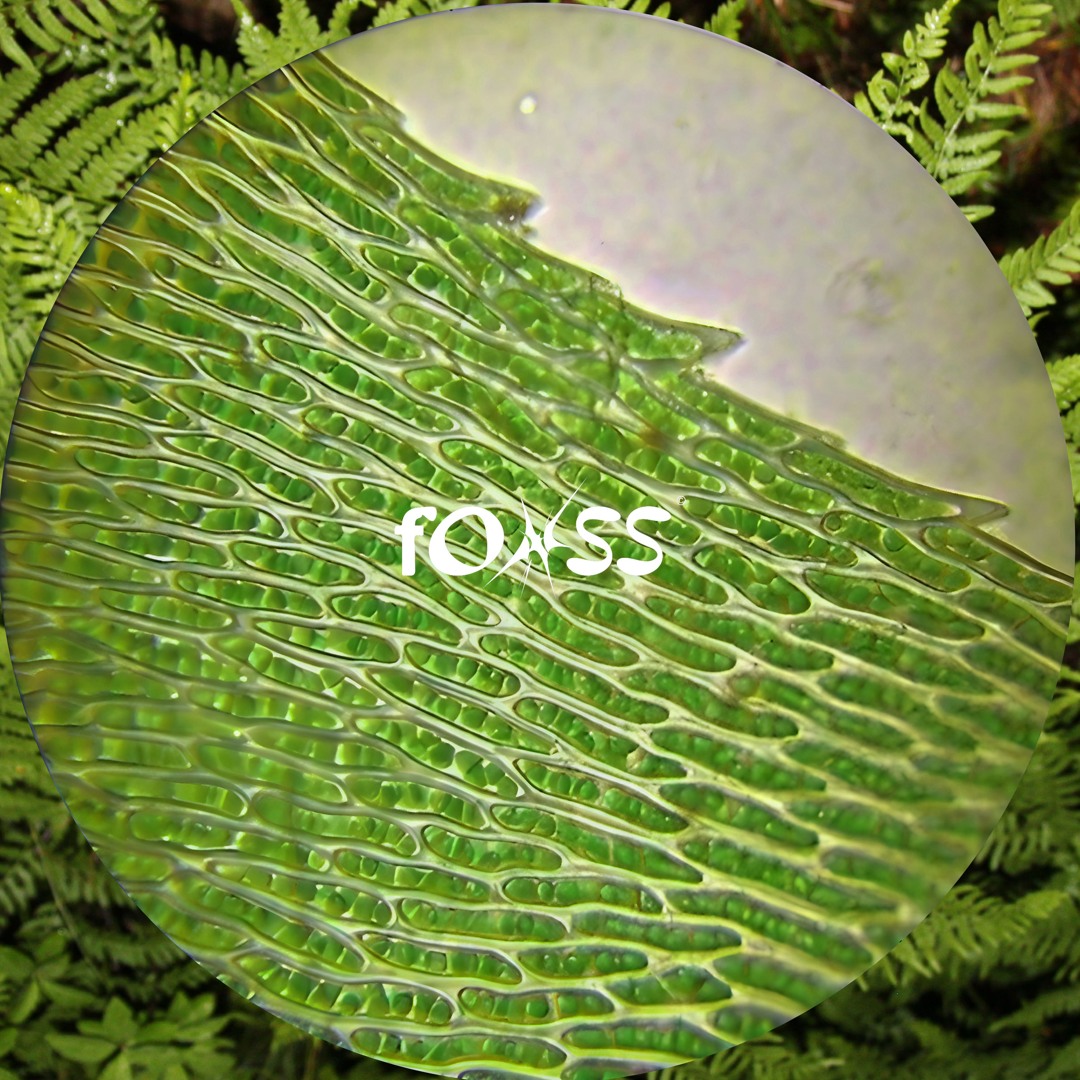 Stream Mossa ft Reemon by Fonss | Listen online for free on SoundCloud