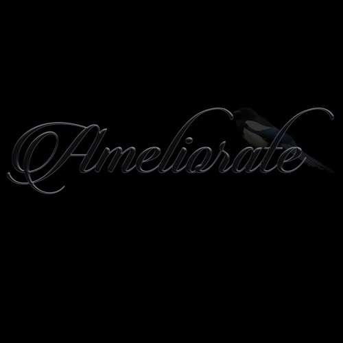Stream Brian Hill - Mallet Station Zebra by Ameliorate Music | Listen ...