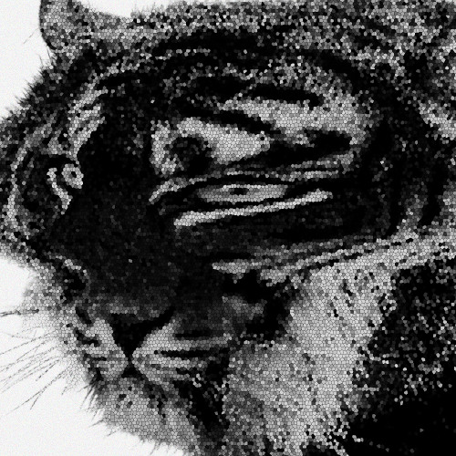 Stream SHESHTAWY by 7mama | Listen online for free on SoundCloud