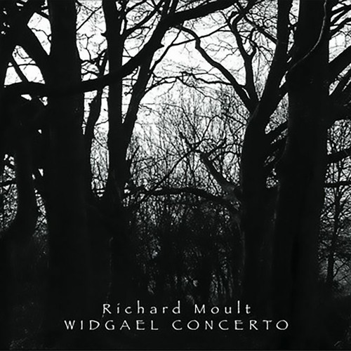 Stream 1st Movement by Richard Moult | Listen online for free on SoundCloud