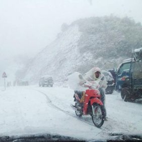 Stream Mua Tuyet - truongnguyen remix (FREE DOWNLOAD) by truongnguyen | Listen online for free ...