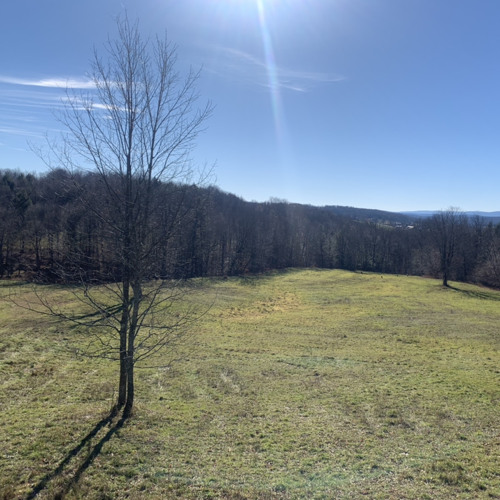 Stream Stick Season [COVER] by Charles Pykus | Listen online for free ...