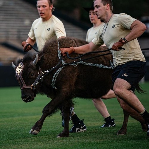 Stream THICC MIX vol. 1 by GAVO | Listen online for free on SoundCloud