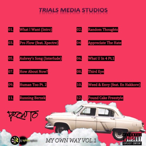 Stream 01. What I Want(Intro) by Pronto The Rapper | Listen online for ...