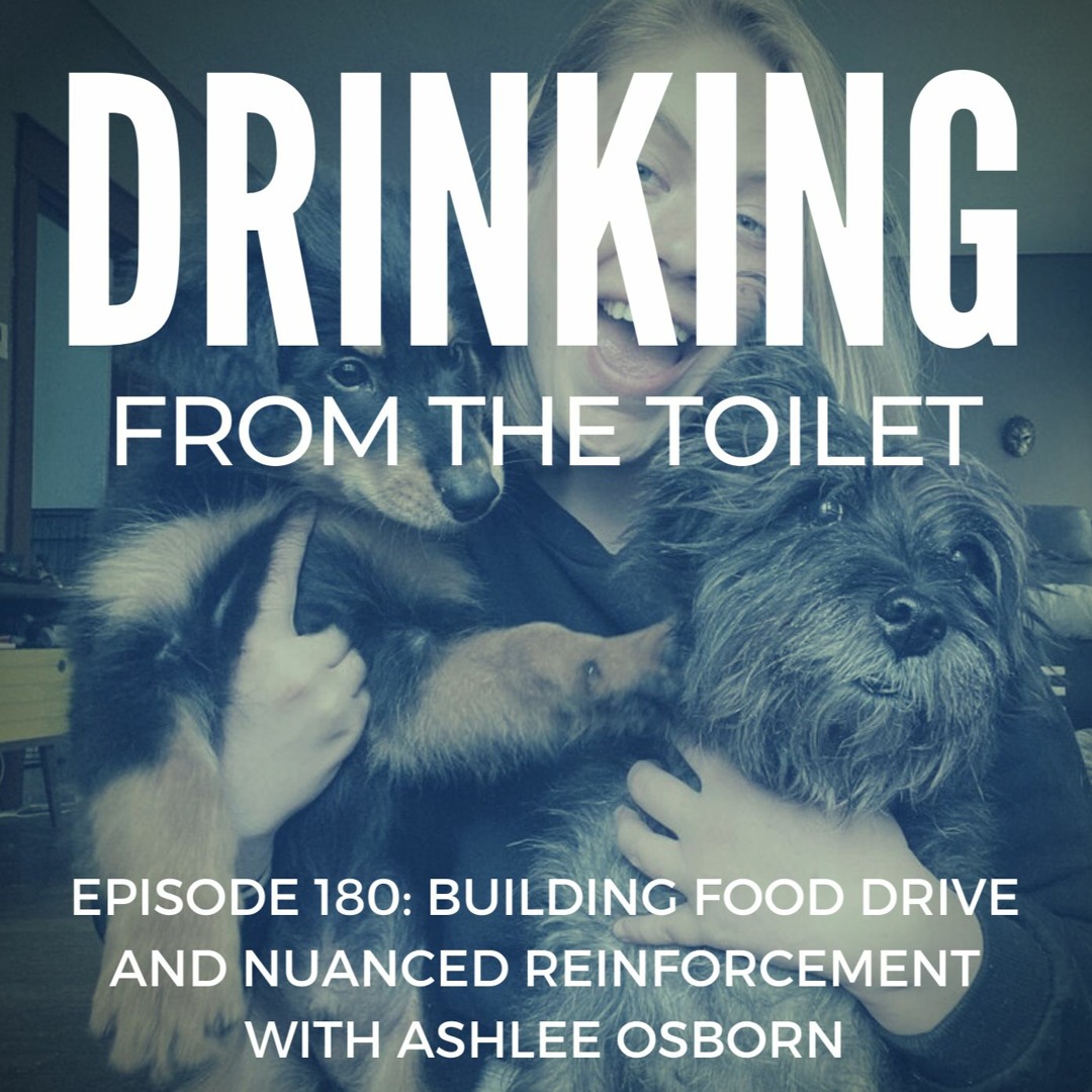 Stream #180: Building Food Drive and Nuanced Reinforcement with Ashlee ...