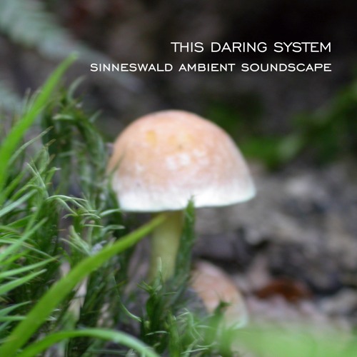 Stream Sinneswald (Ambient Soundscape Mix) by This Daring System ...
