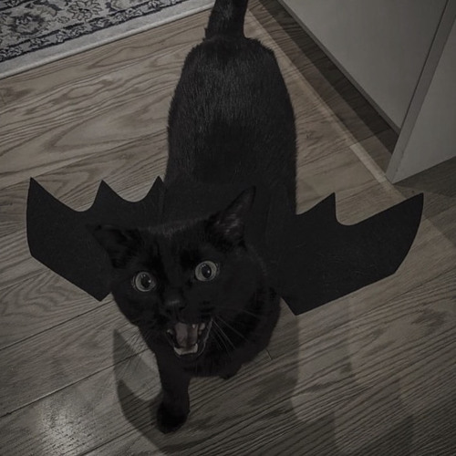 Stream head up [prod. tdf] by armoniixd | Listen online for free on ...