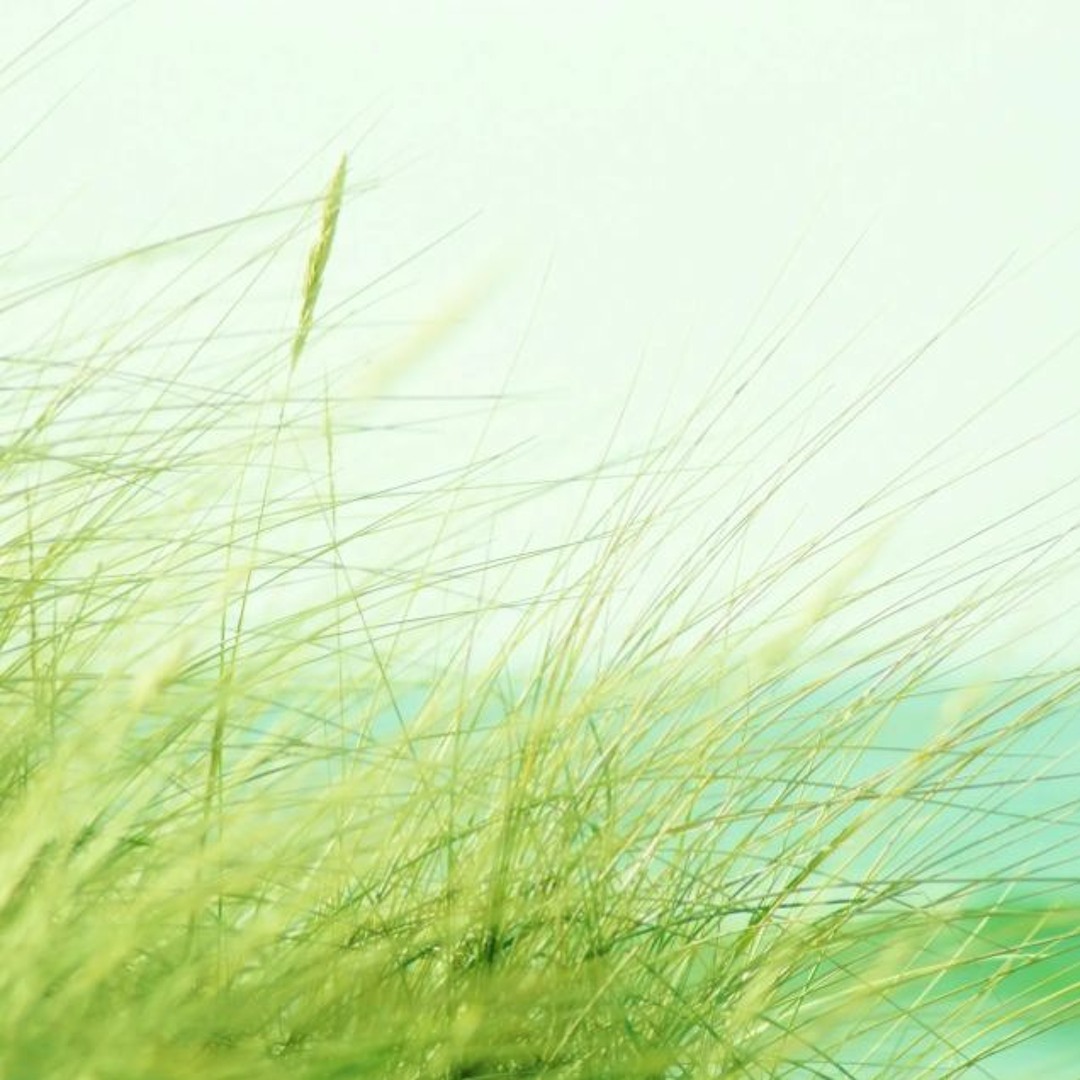 Stream Cto, | Listen to Amar? background loop 🐠FREE DOWNLOAD playlist ...
