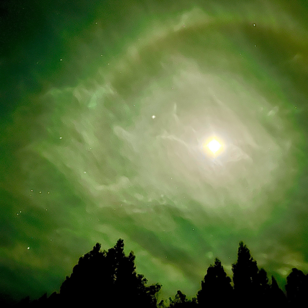 Stream Wet Work by MF T | Listen online for free on SoundCloud