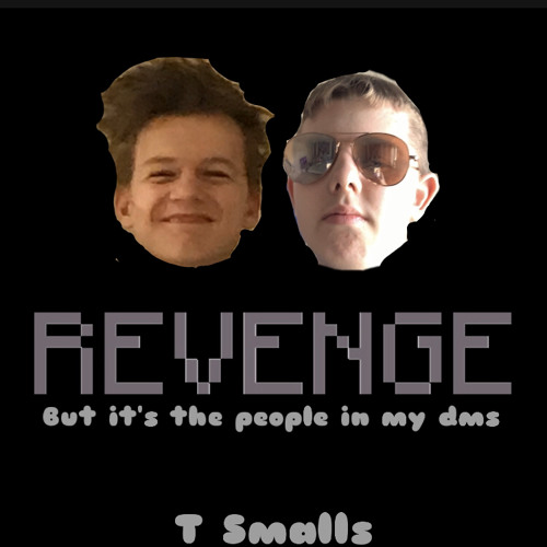 Stream REVENGE but its the people in my dms by Theo Smaller | Listen ...