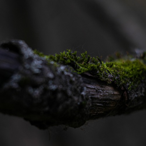 Stream CODECAST X - EastN - Aesthetic Minimalism by codecast | Listen ... Stream CODECAST X - EastN - Aesthetic Minimalism by codecast | Listen ...