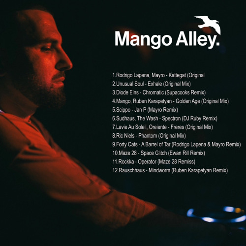 Stream DJ Set featuring my Favorite Tracks from Mango Alley 2023 by ...