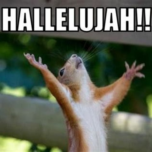 Can I Get A Hallelujah Meme