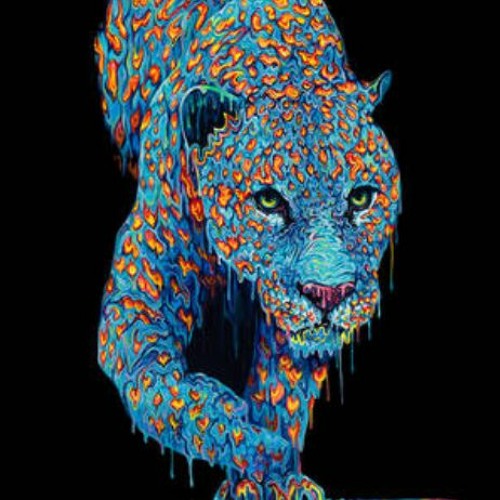 Stream DJ Rocco - Up In Space Mix by DJ Rocco | Listen online for free ...