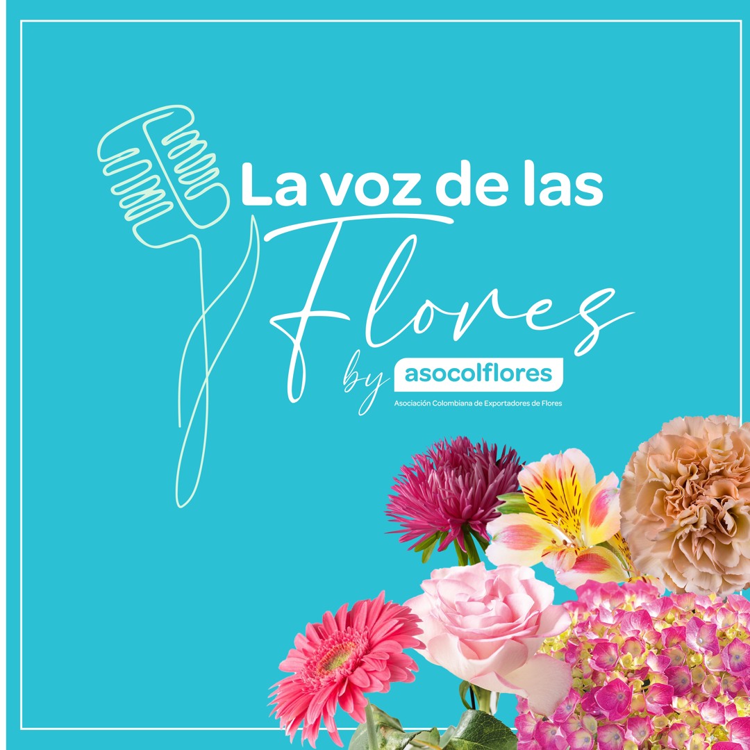 Stream episode Inclusión y empleabilidad en La Voz de Juan Sebastián ...