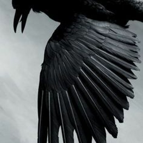 Stream Randy Solaire - Sleeping Raven (Prod. Manhe) by ‎༲ཝསཙཌ ۩ ཧ༠ཫཝ༏འཋ ...