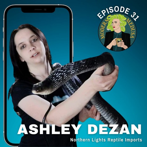 Stream 31 Importation And Uncommon Species With Ashley Dezan By Modern