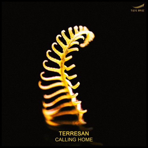 Stream Terresan - Calling Home by TIEFDRUCKGEBEAT | Listen online for ...