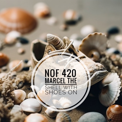 Stream episode Noget Om FIlm Episode 420: Marcel The Shell With Shoes ...