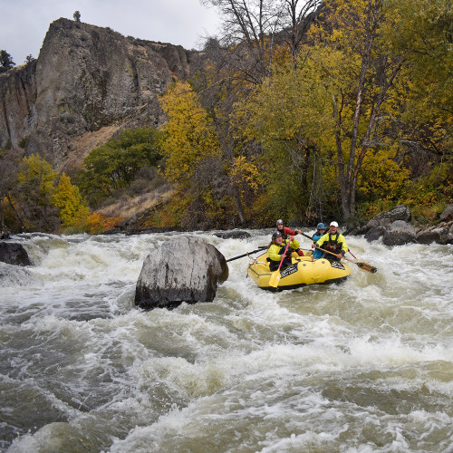 Stream The 'New Klamath River,' after dam removal, showcases salmon ...