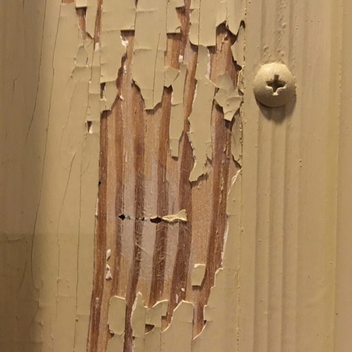 Stream You ever heard of Bonnie and Clyde?/Human Meat Shield by Karenin ...