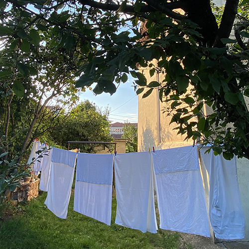 Stream Real BAE Shit w/ Iza (12.05.2025) by Black Rhino Radio | Listen ...