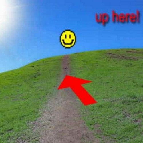 Funny Windows Xp Bliss Wallpaper