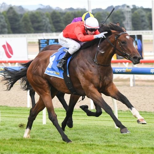 Stream TasRacing 2024 Launceston Cup Preview by Racing & Sports ...