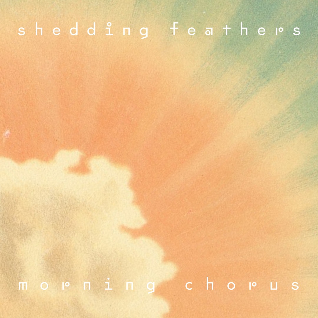 Stream All But Lost by Shedding Feathers | Listen online for free on ...