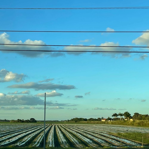 Stream Motion Sickness (cover) by Vania Junco | Listen online for free ...