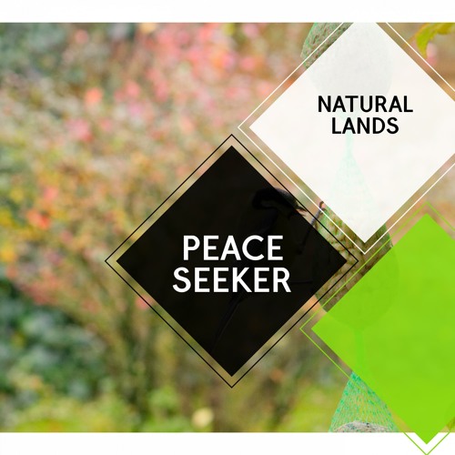 Stream Smug Insects & Crickets by Nature Meditative Music Project ...