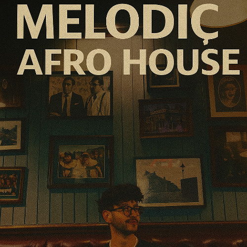 Stream MELODIC AFRO HOUSE by flacko. | Listen online for free on SoundCloud