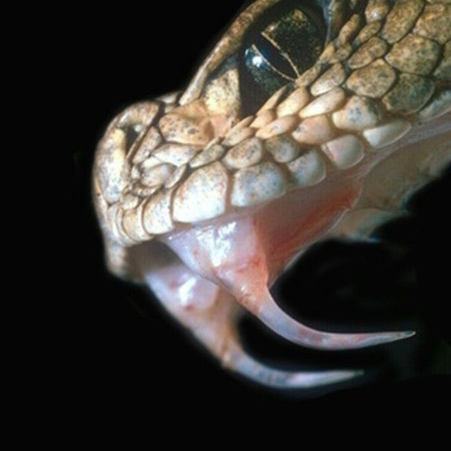 Stream Outoftime by lilgothcandy | Listen online for free on SoundCloud