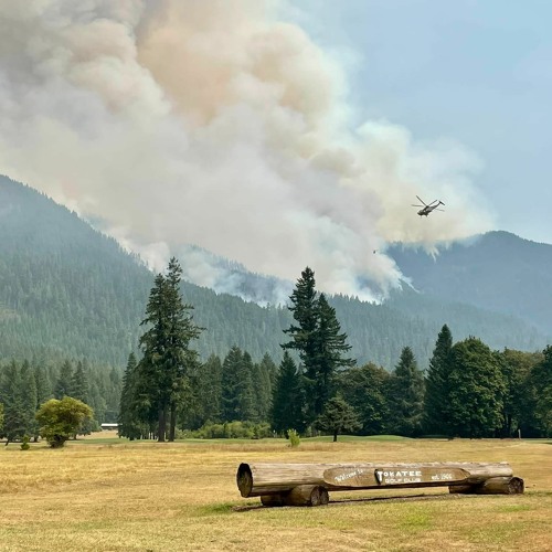 Stream 2023 wildfire season in review: Acres burned, homes lost ...
